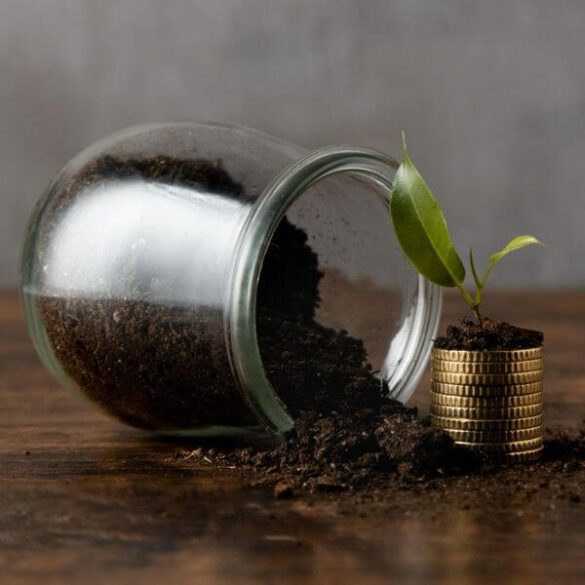 What Is An Investable Asset? Learn Step-By-Step - I Am Amrita