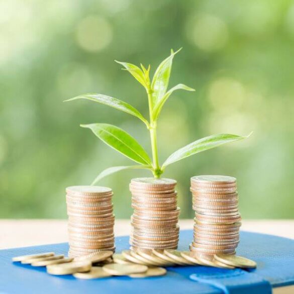 What Is An Investable Asset? Learn Step-By-Step - I Am Amrita